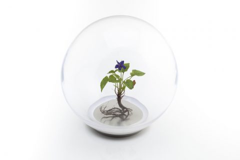 ‘Life Support’ Series | Annette Marie Townsend