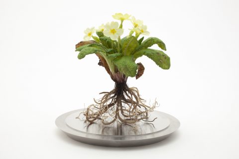 ‘Life Support’ Series | Annette Marie Townsend