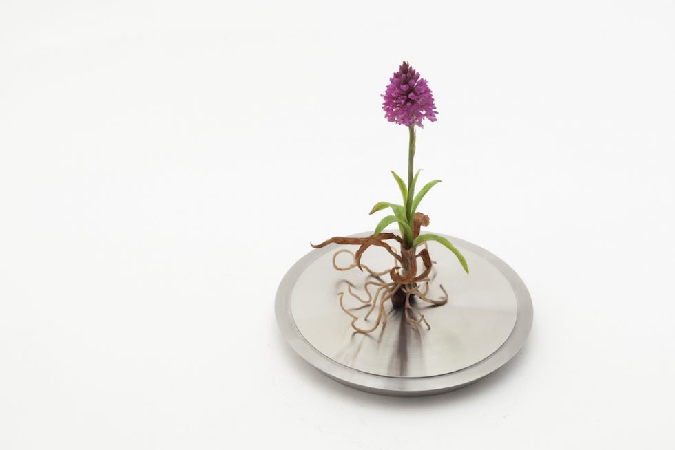 ‘Life Support’ Series | Annette Marie Townsend