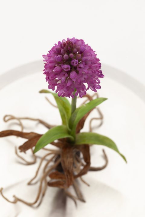 ‘Life Support’ Series | Annette Marie Townsend